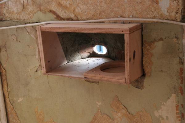 Action For Swifts: Cameras In Swift Boxes, 47% OFF