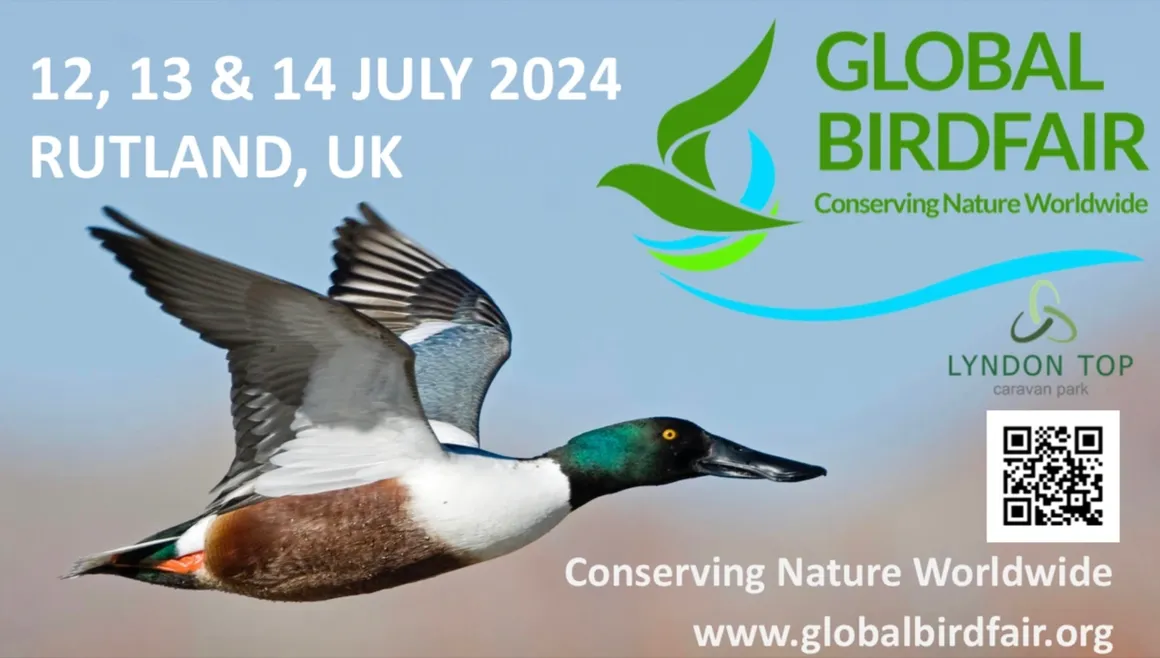 Swift Conservation Homepage